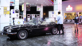 IPT | Celebrities Choose IPT!